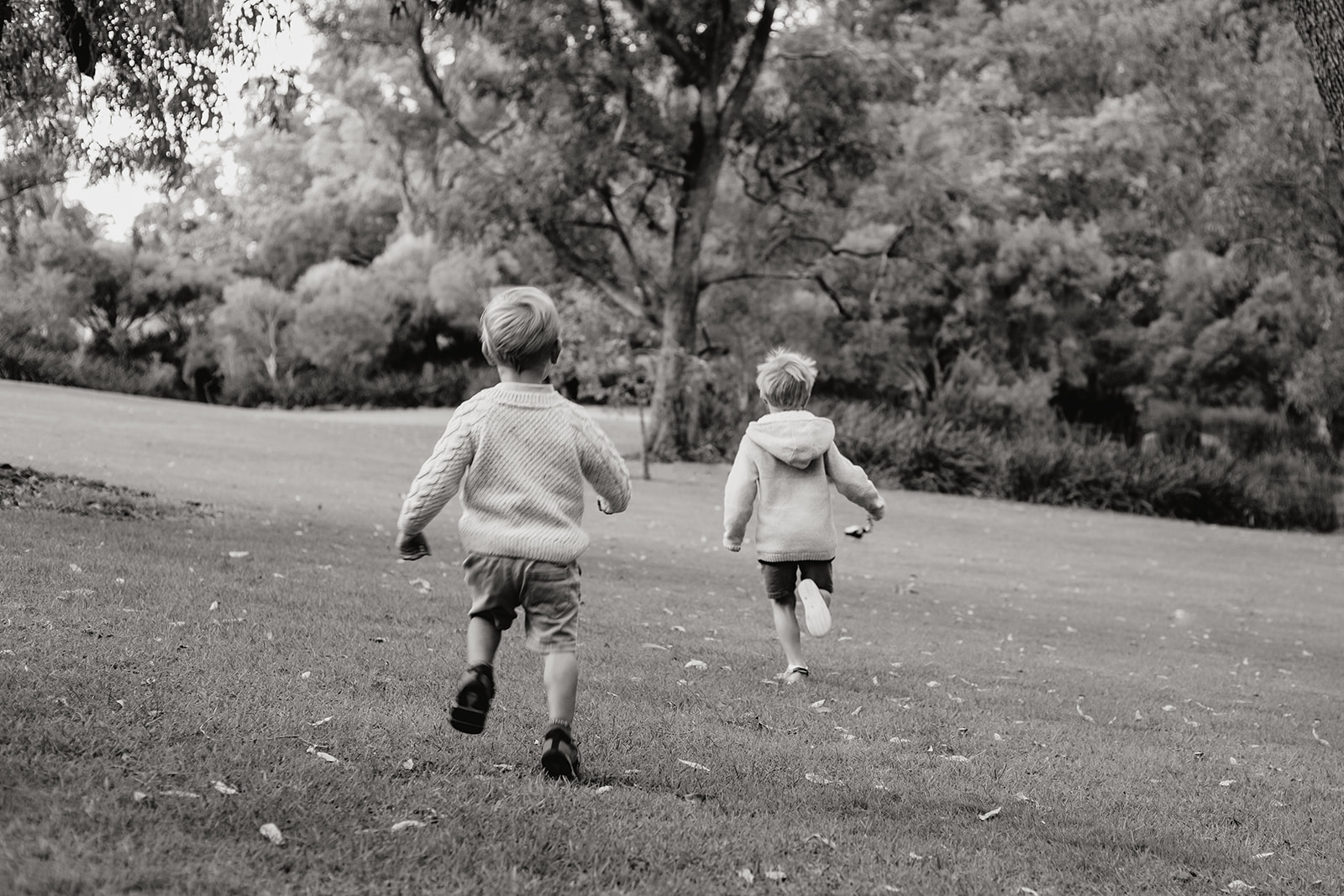 Booking Enquiry - The Sleep Tree